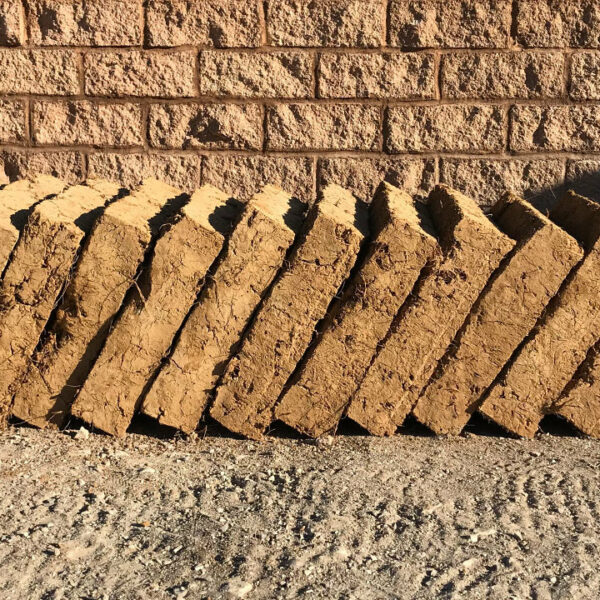 Adobe bricks to save us all? – Mezcalistas