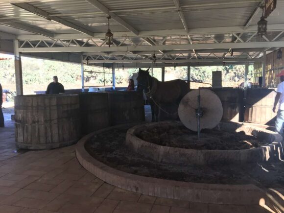 Chilean mill – Mezcalistas