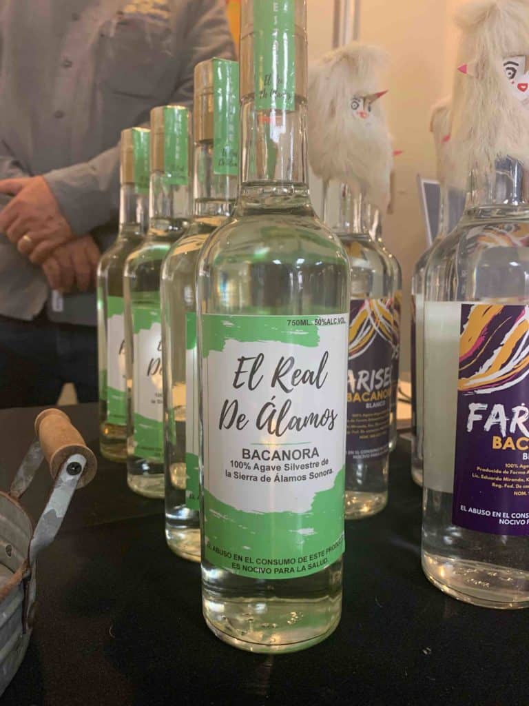 Bacanora: Another great Mexican distilling tradition – Mezcalistas