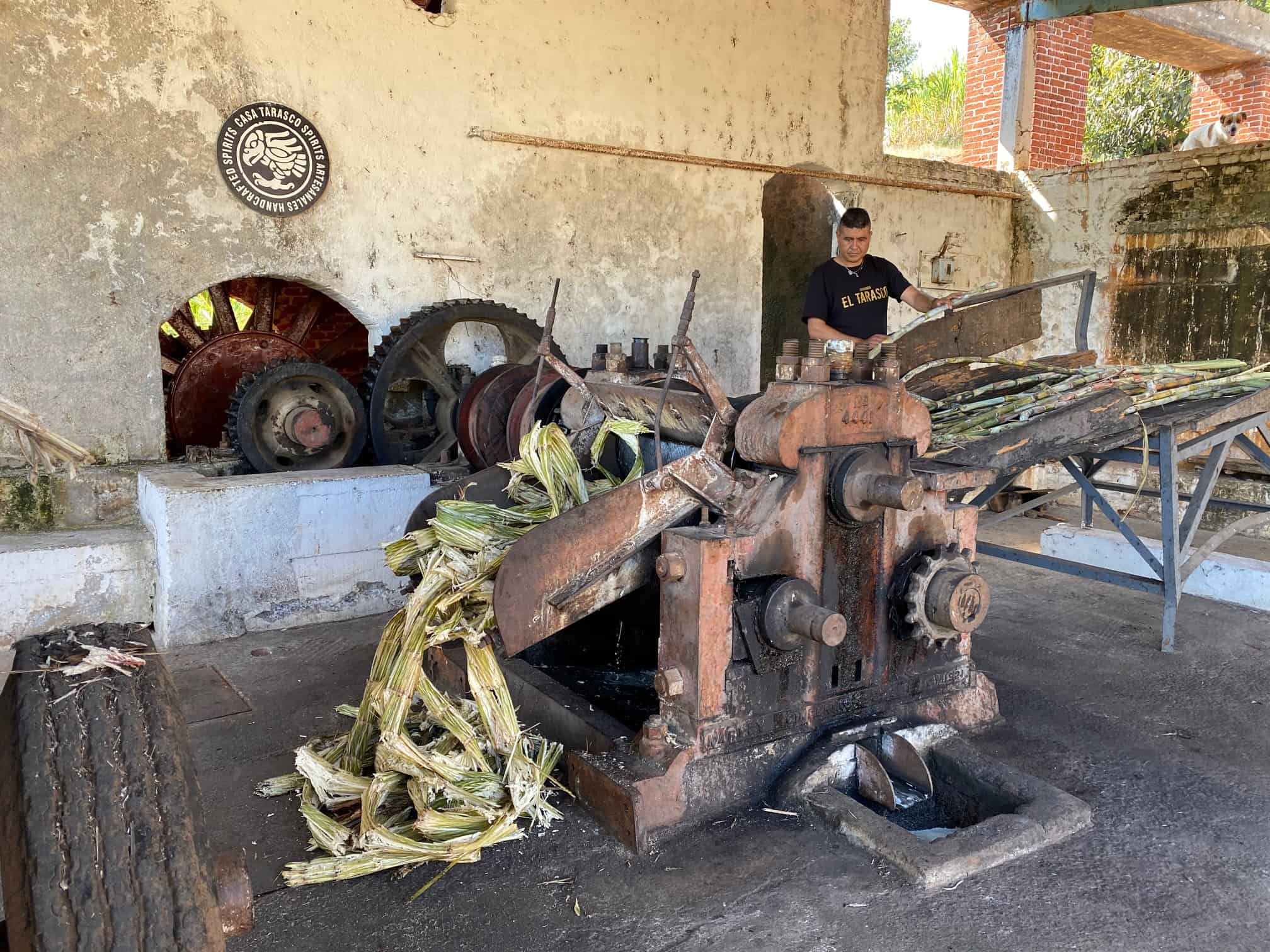 Demystifying charanda, a notable Mexican rum – Mezcalistas