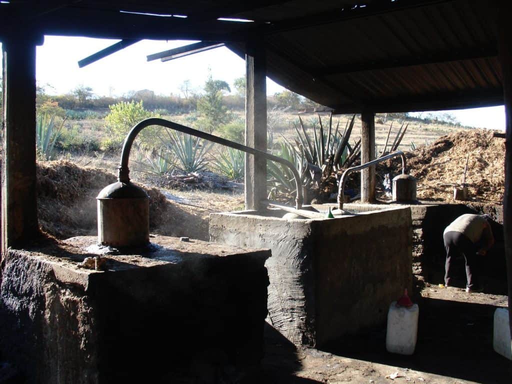 Ultimate Mezcal 101 Guide: What is Mezcal? – Mezcalistas