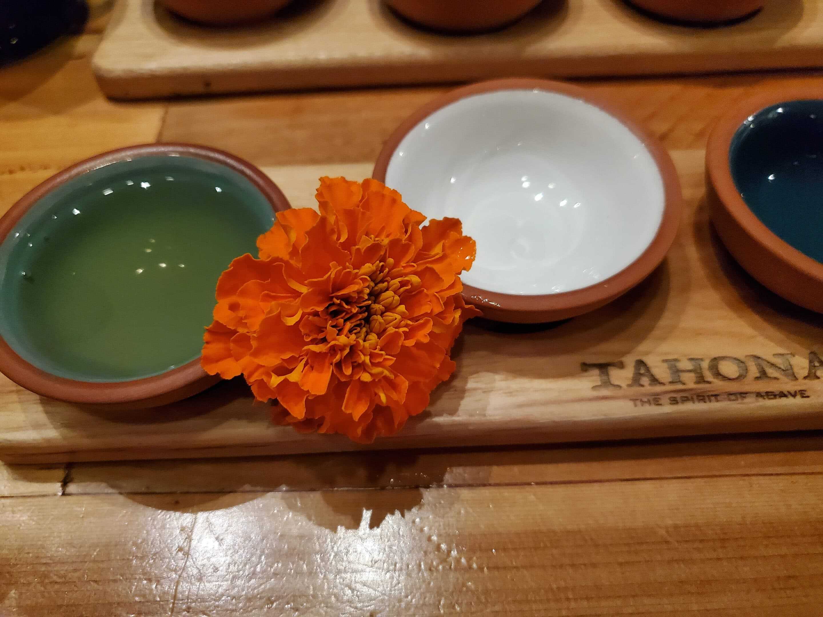 A Bacanora Chef's Table dinner at Tahona – Mezcalistas