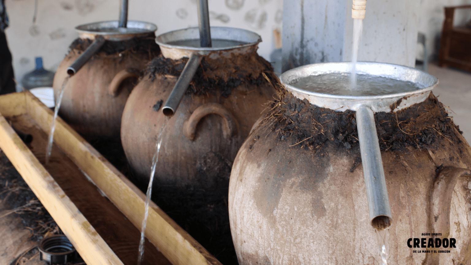 The Creador mezcal story – Mezcalistas