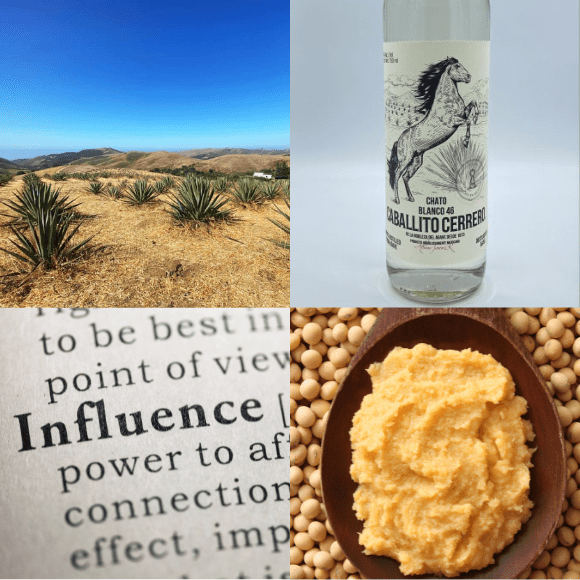 Four agave spirit trends we’ll see expand in 2023 – Mezcalistas