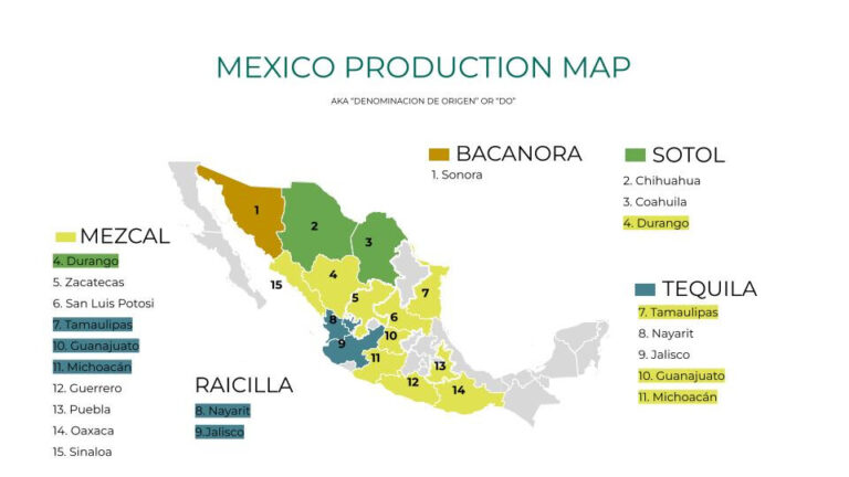 Ultimate Mezcal 101 Guide: What is Mezcal? – Mezcalistas