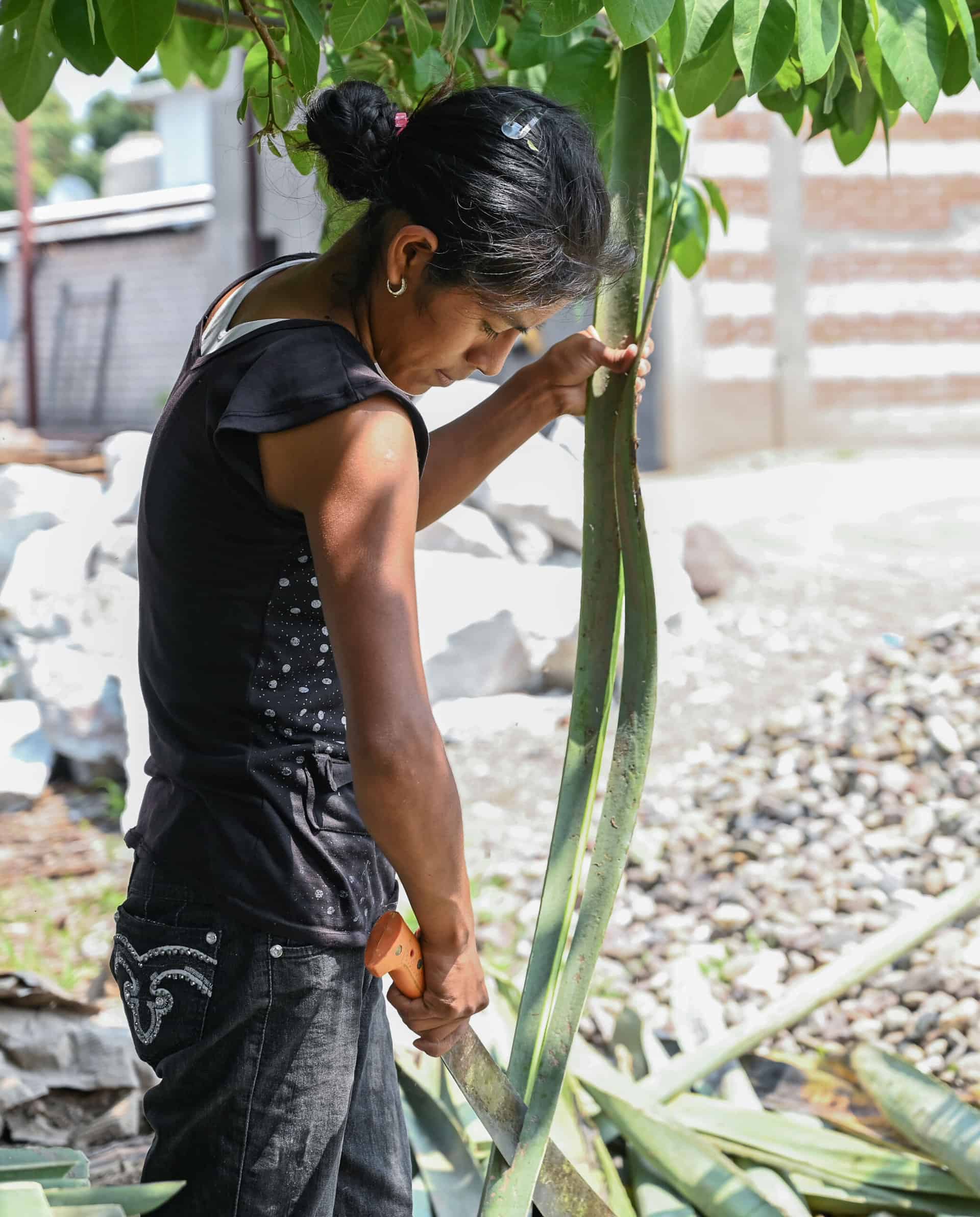 The revival of agave fibers in design – Mezcalistas