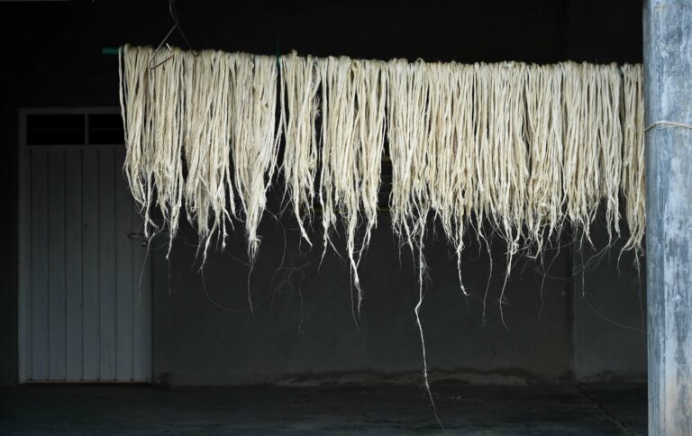 The revival of agave fibers in design – Mezcalistas