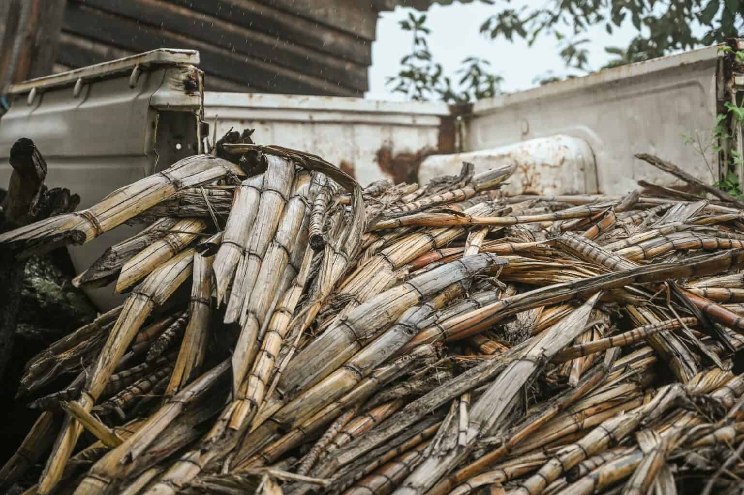 Is Mexican rum finally trending? What to know about caña and charanda ...