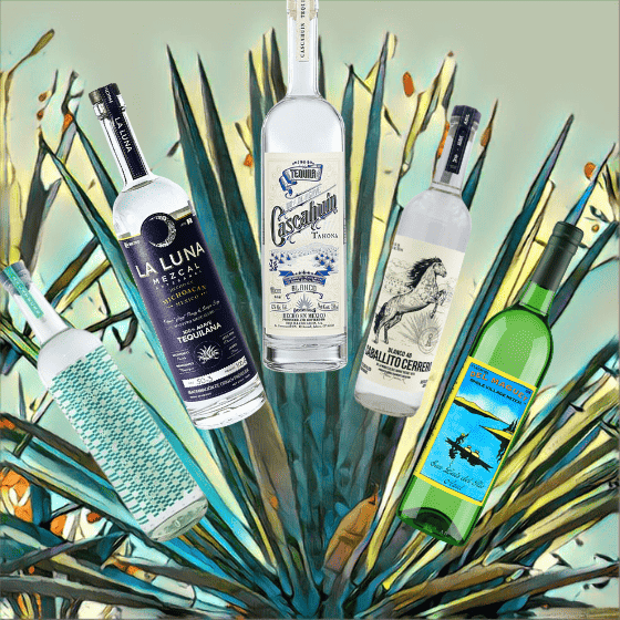 DIY Agave Tasting: Agave Azul – Mezcalistas