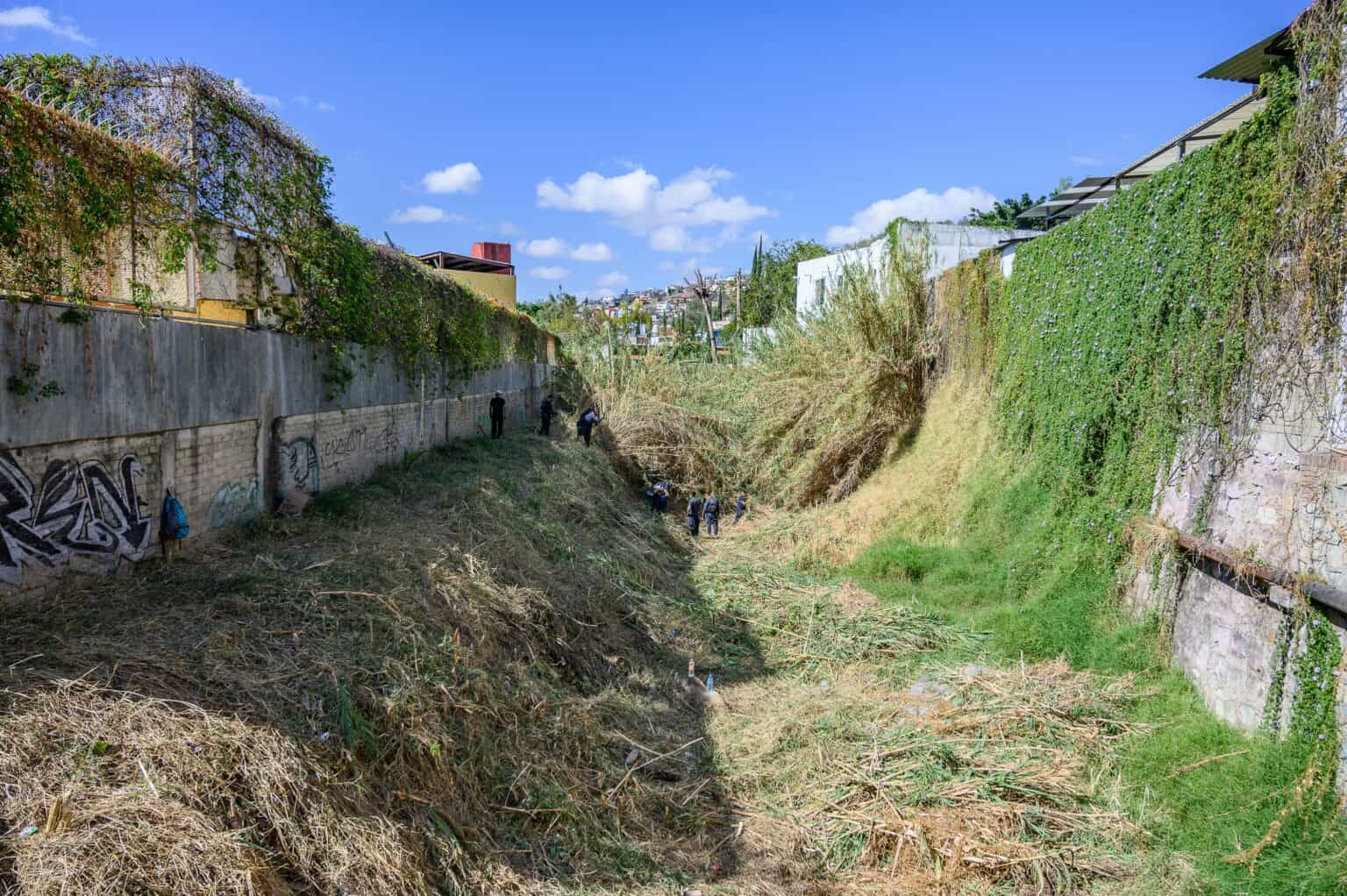 Drought: The water crisis in Oaxaca – Mezcalistas