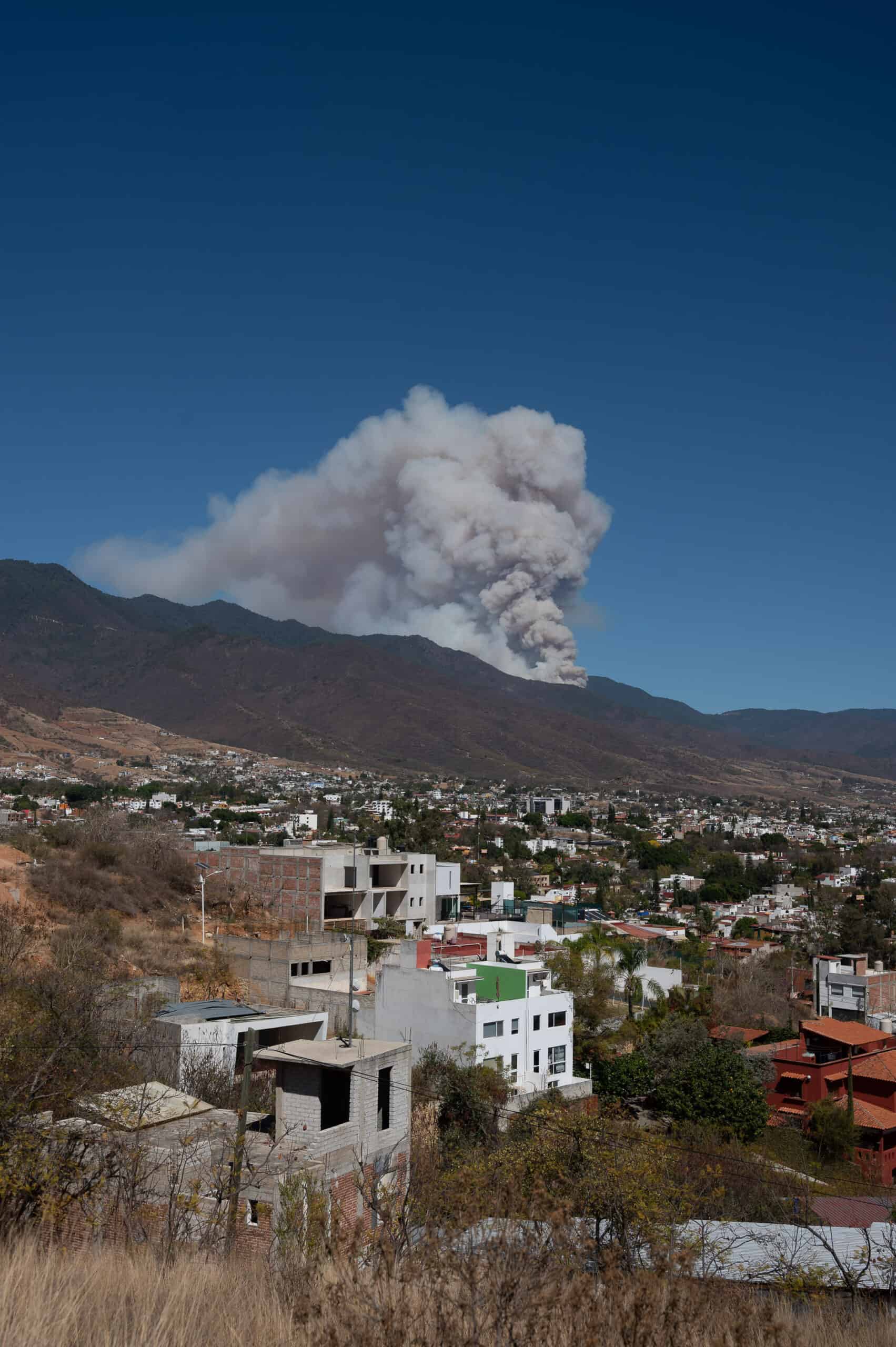 Drought: The water crisis in Oaxaca – Mezcalistas