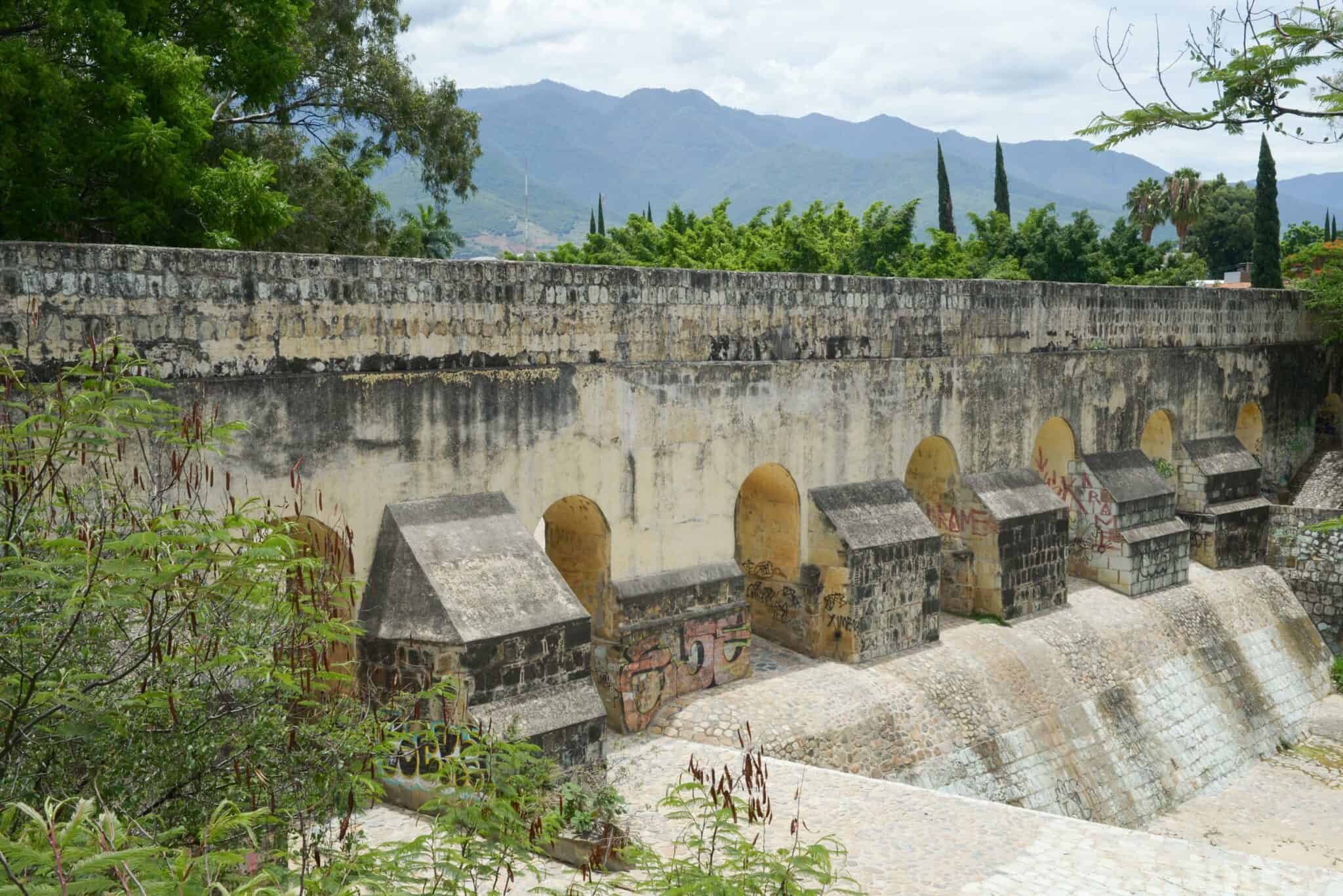 Drought: The water crisis in Oaxaca – Mezcalistas