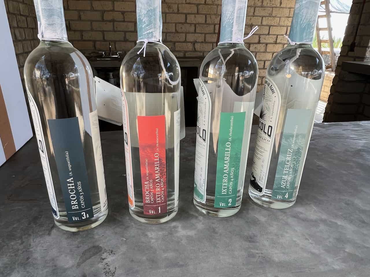 Why Chacolo is both the past and future of mezcal – Mezcalistas