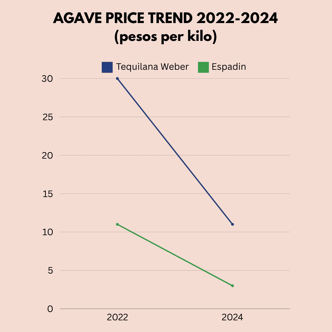 About those agave prices – Mezcalistas