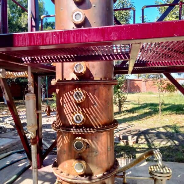 Tuba, "vino de coco" and lambanog – Mezcalistas