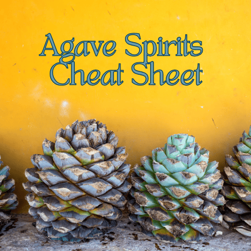 Agave spirit cheat sheet: regional mezcal categories – Mezcalistas